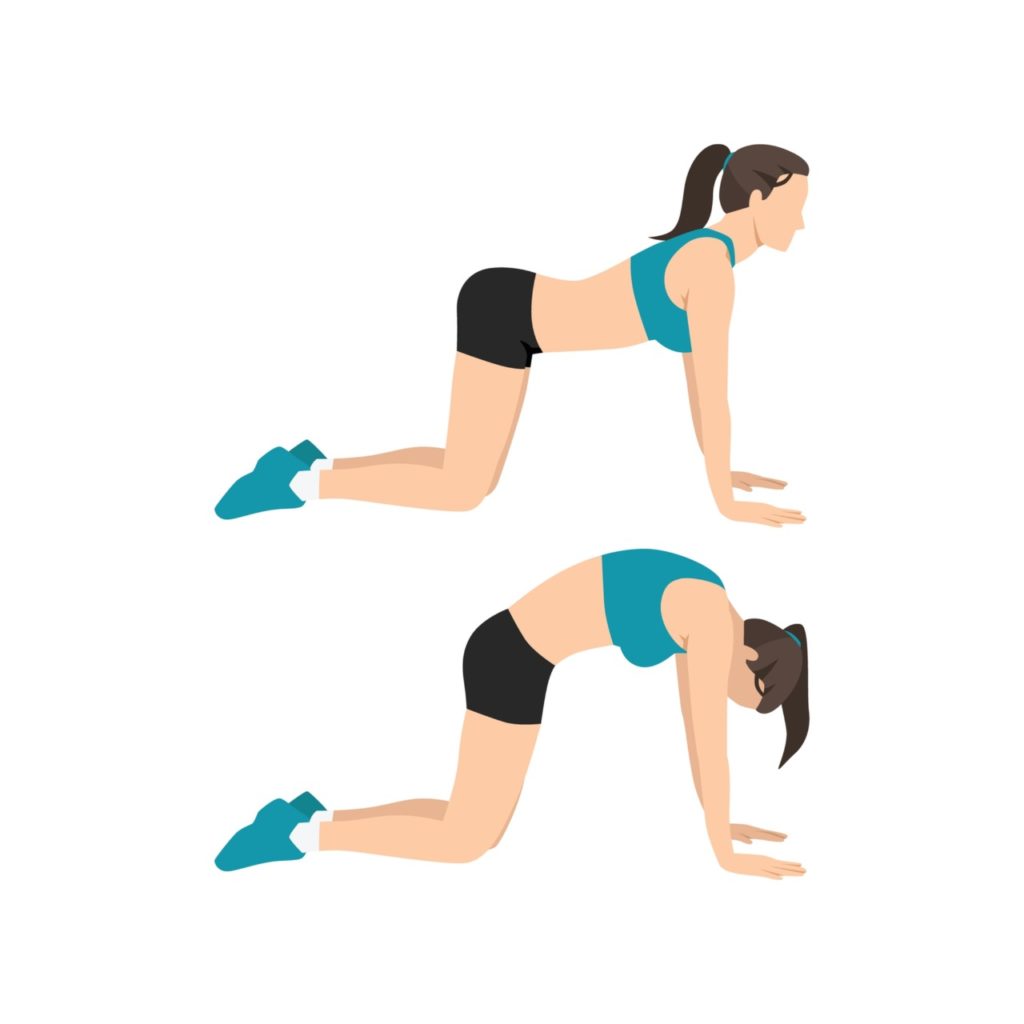 7 Exercises to Relief Upper & Middle Back Pain | QI Spine